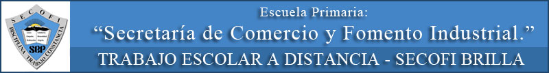 SECOFI - Trabajo escolar a distancia - SECOFI BRILLA
